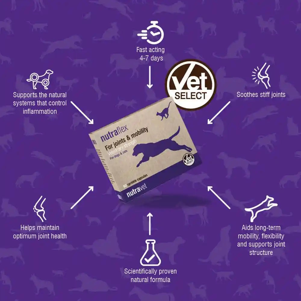Nutravet - Nutraflex (Joint Supplement for Dogs & Cats) 60 caps – VetSPLY