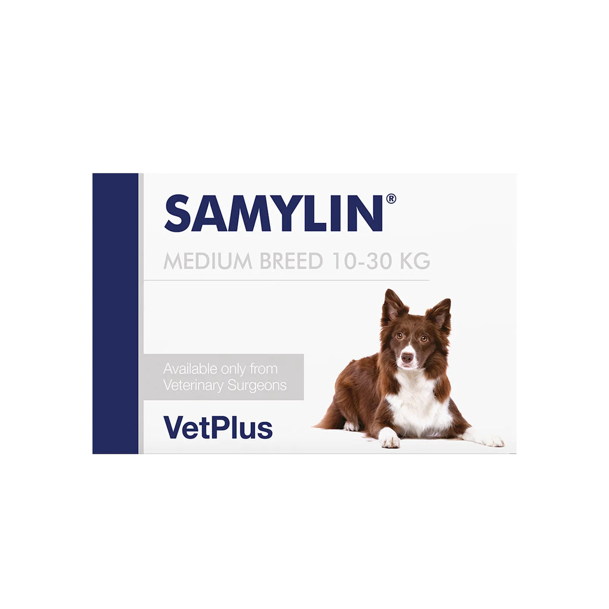VetPlus - Samylin Tablet (Liver Supplement for Medium Dogs 10-30kg) 30 ...